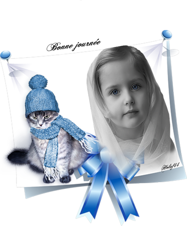 Bonne Journée Mes Amies Et Amis