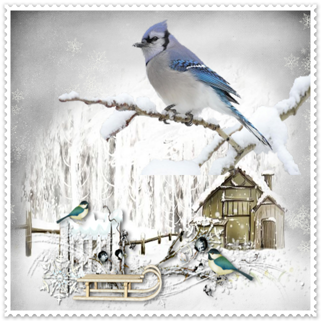 poemes sur le mois de janvier