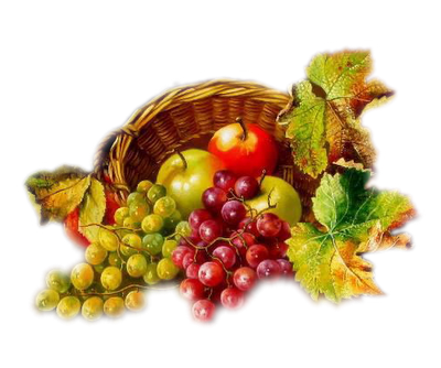 Tubes vendanges pour vos créations